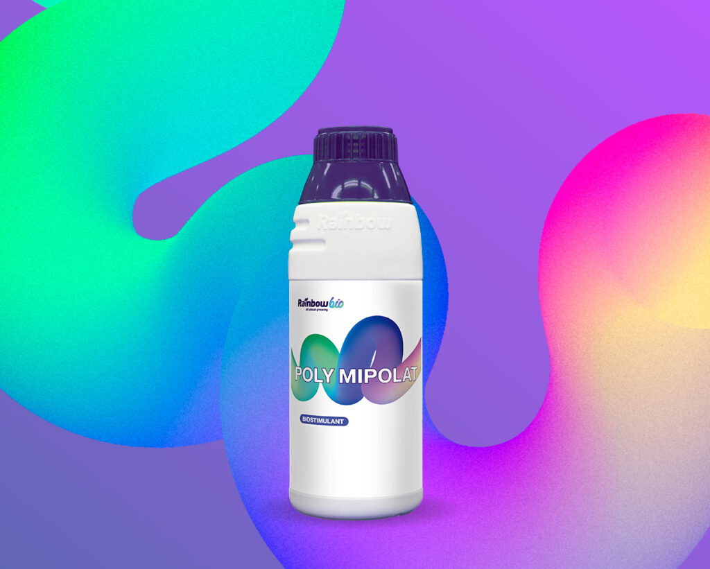 Our Solutions 【 RainbowAgroBio