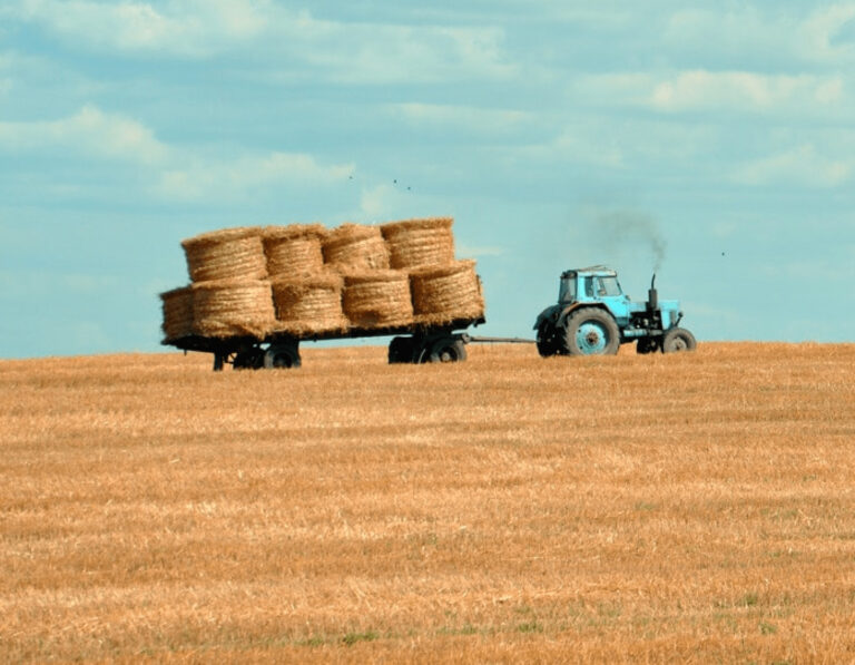 Rainbow Agro 【 RainbowAgroBio