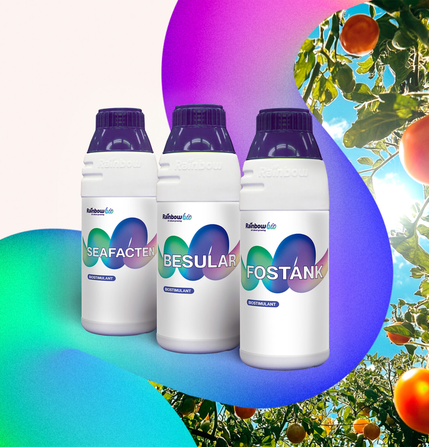 This is Rainbowbio 【 RainbowAgroBio