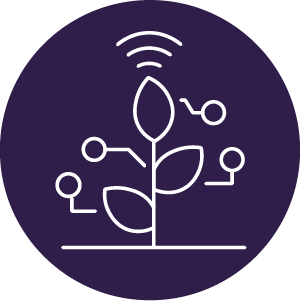 POLY MILAT 【 RainbowAgroBio